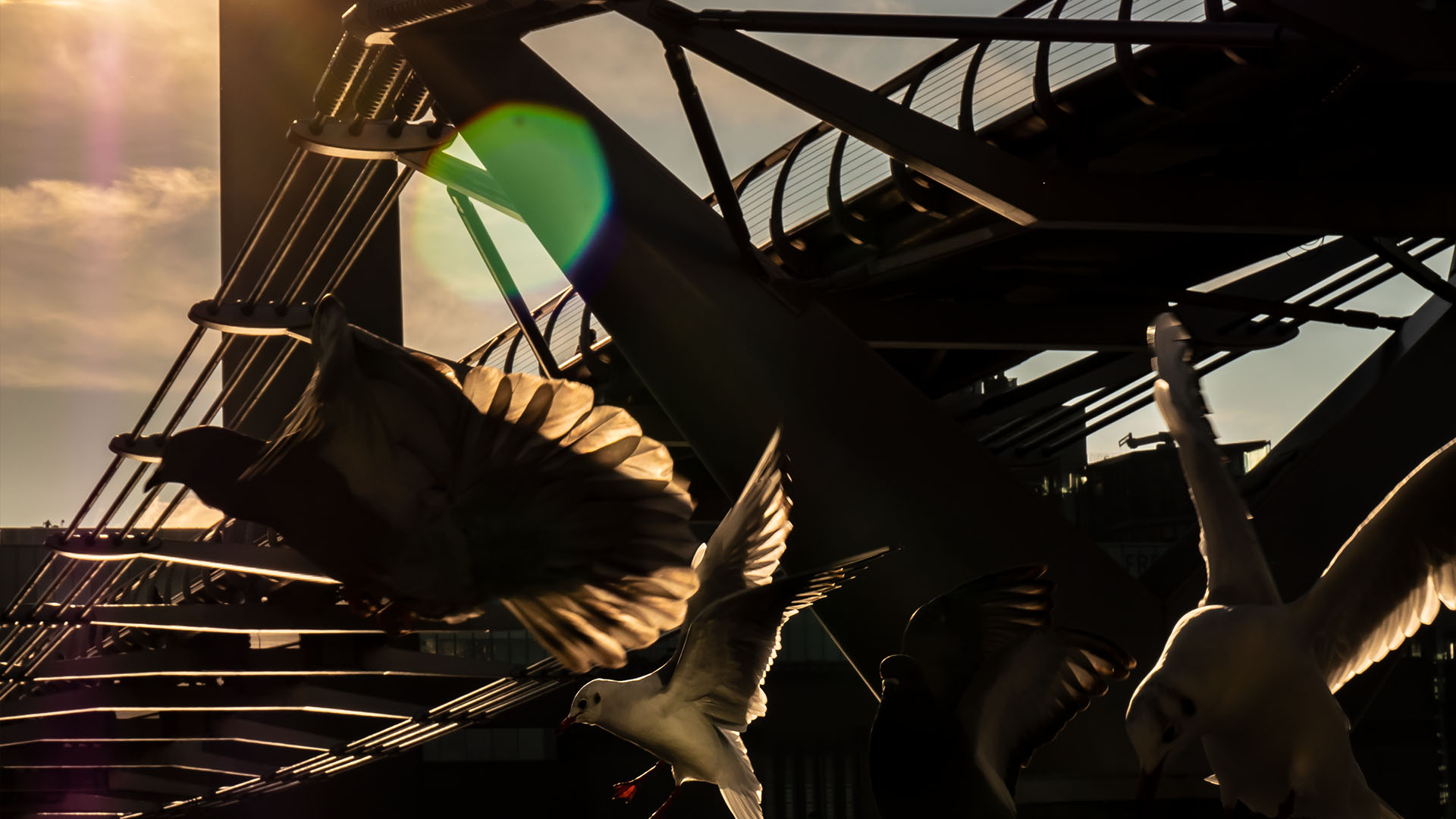 London Slo-Mo: Tate Modern - Harvey Scott Vision